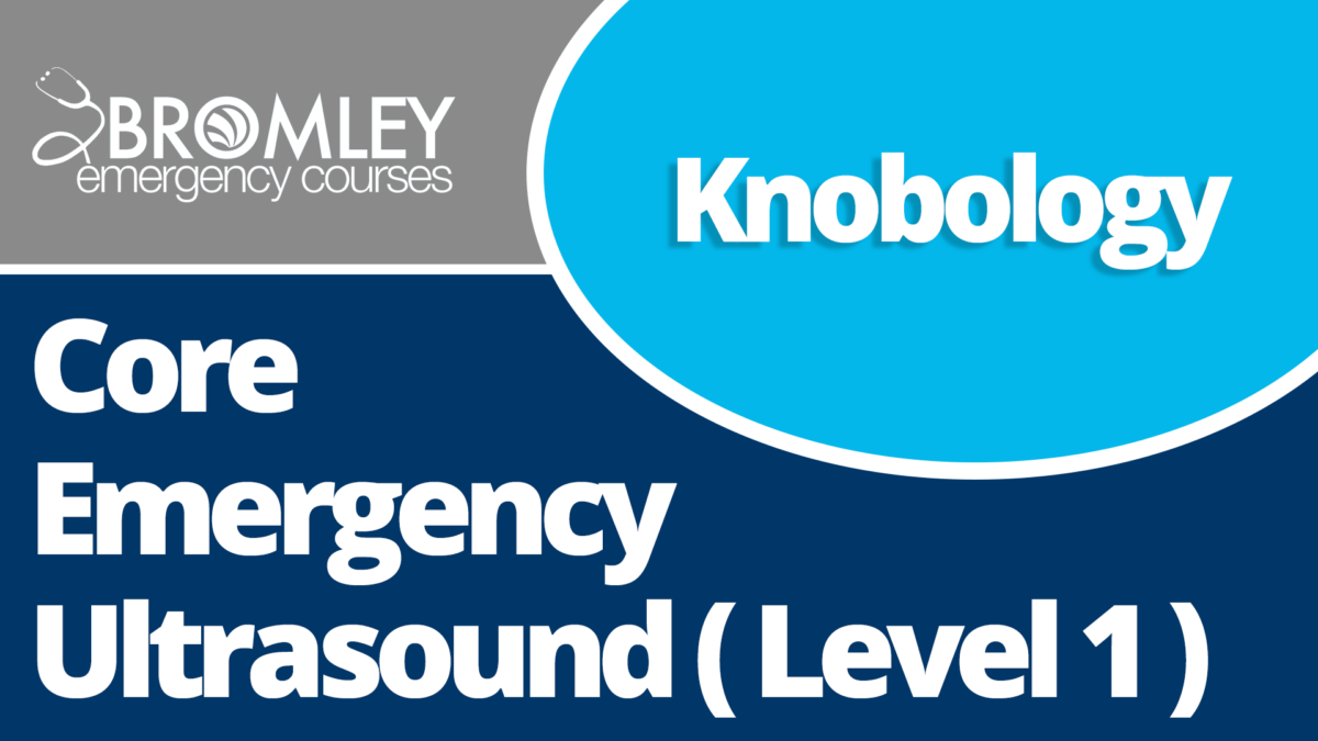 Core Emergency Ultrasound Course (Level 1)
