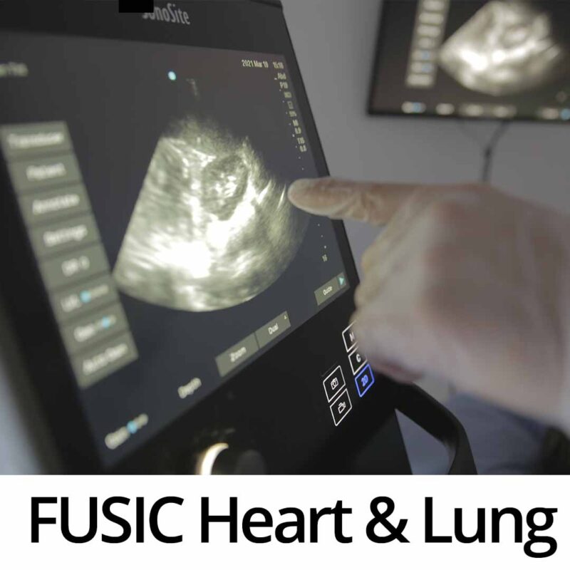PocUS Courses in London